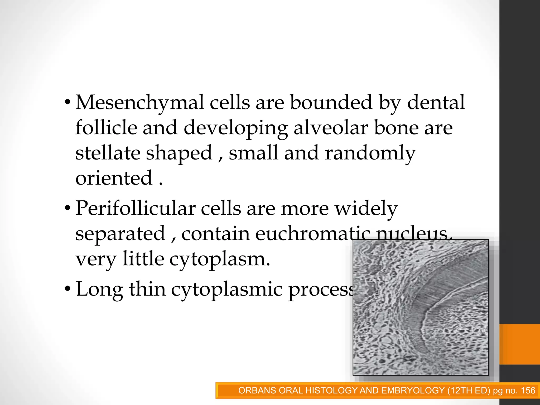 Periodontal ligament (PDL) | PPTX