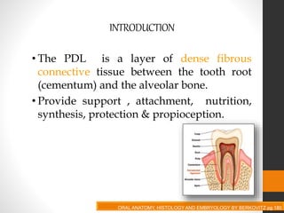 Periodontal ligament (PDL) | PPTX