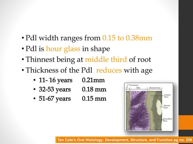 Periodontal ligament (PDL) | PPTX