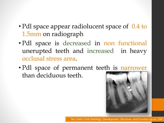 Periodontal ligament (PDL) | PPTX
