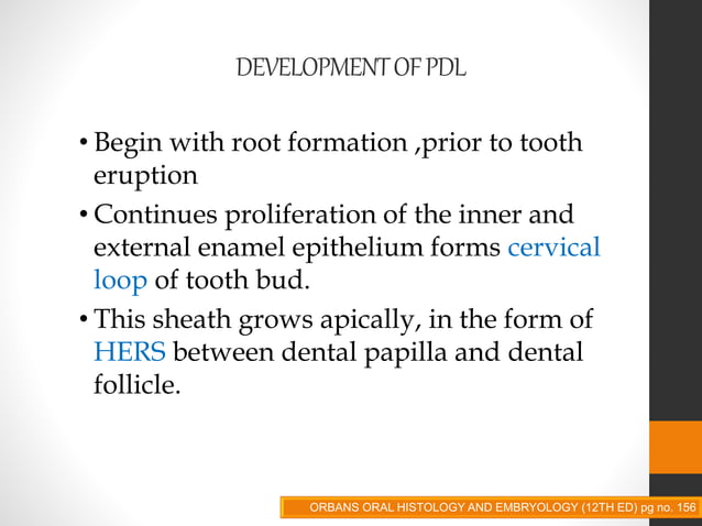 Periodontal ligament (PDL) | PPTX