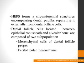 Periodontal ligament (PDL) | PPTX
