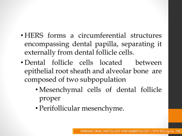 Periodontal ligament (PDL) | PPTX