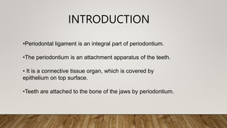 periodontal ligament and periodontium in periodontics | PPTX