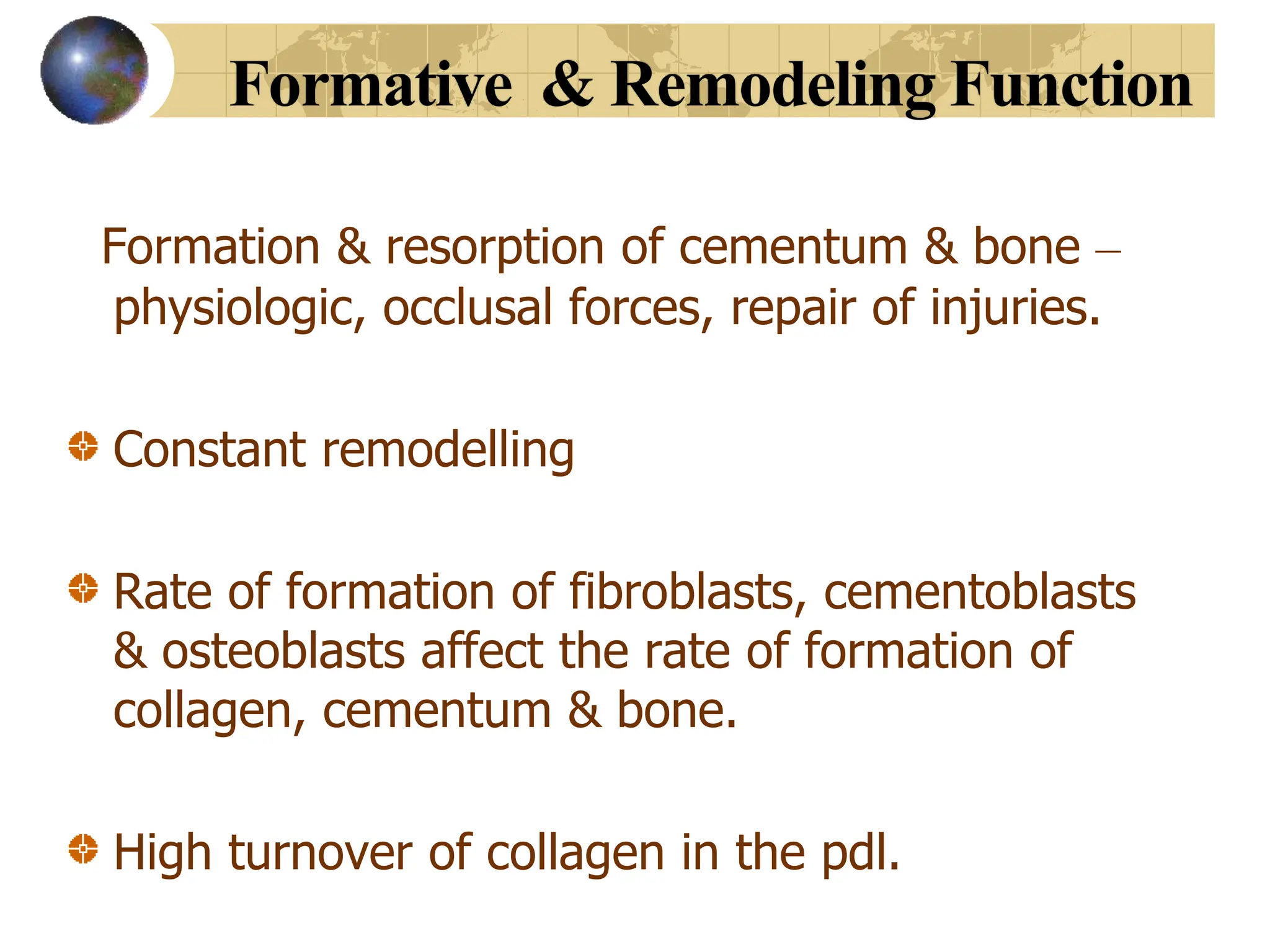 pdl.ppt periodontal ligament ppt from periodontics | PPT