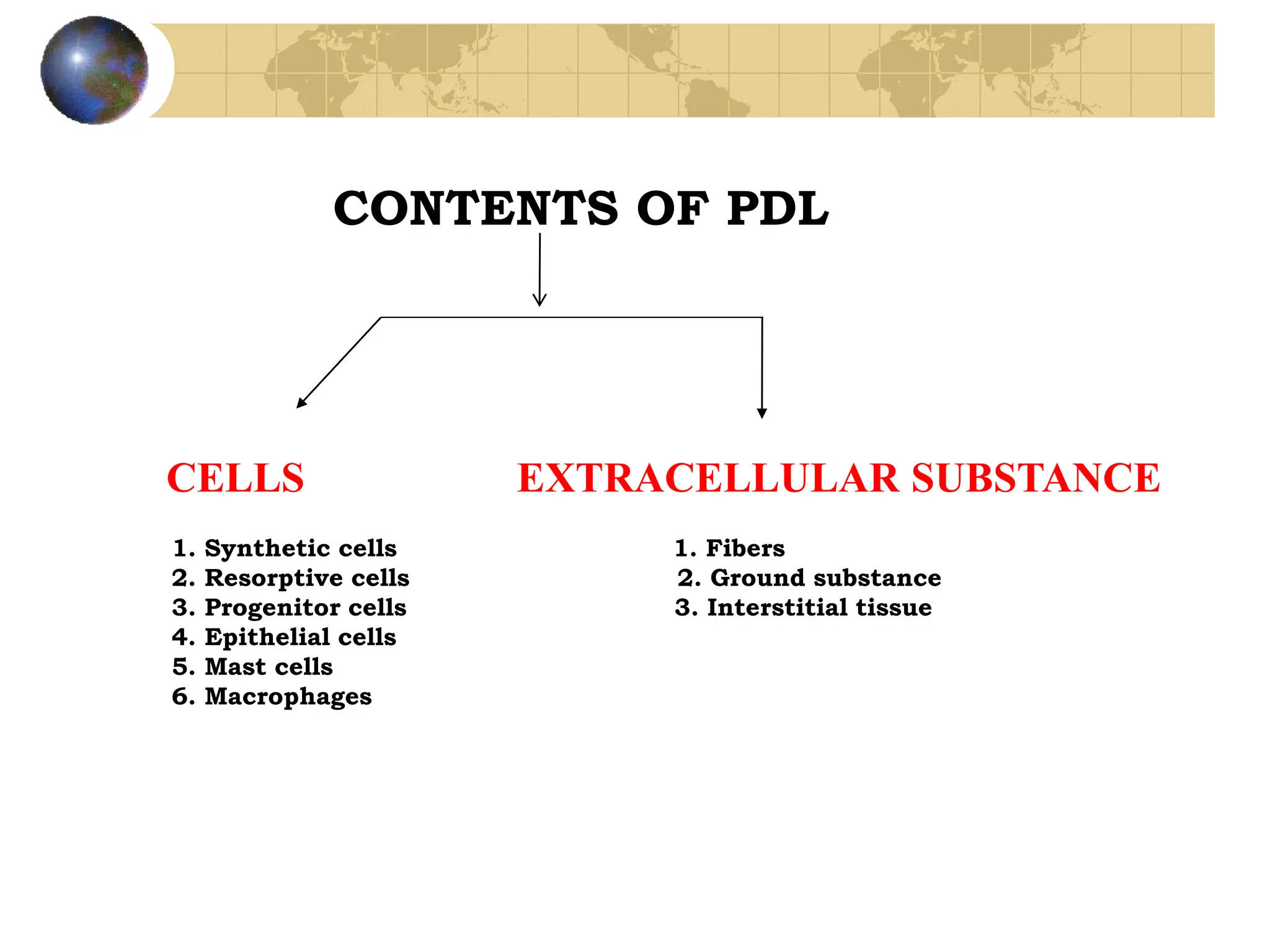 pdl.ppt periodontal ligament ppt from periodontics | PPT