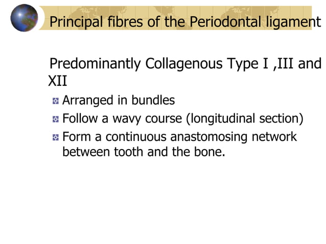 pdl.ppt periodontal ligament ppt from periodontics | PPT