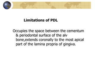 pdl.ppt periodontal ligament ppt from periodontics | PPT