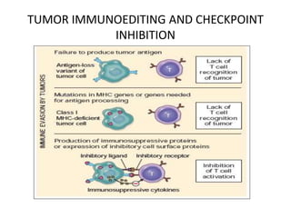 immunotherapy and PDL1 IHC | PPTX