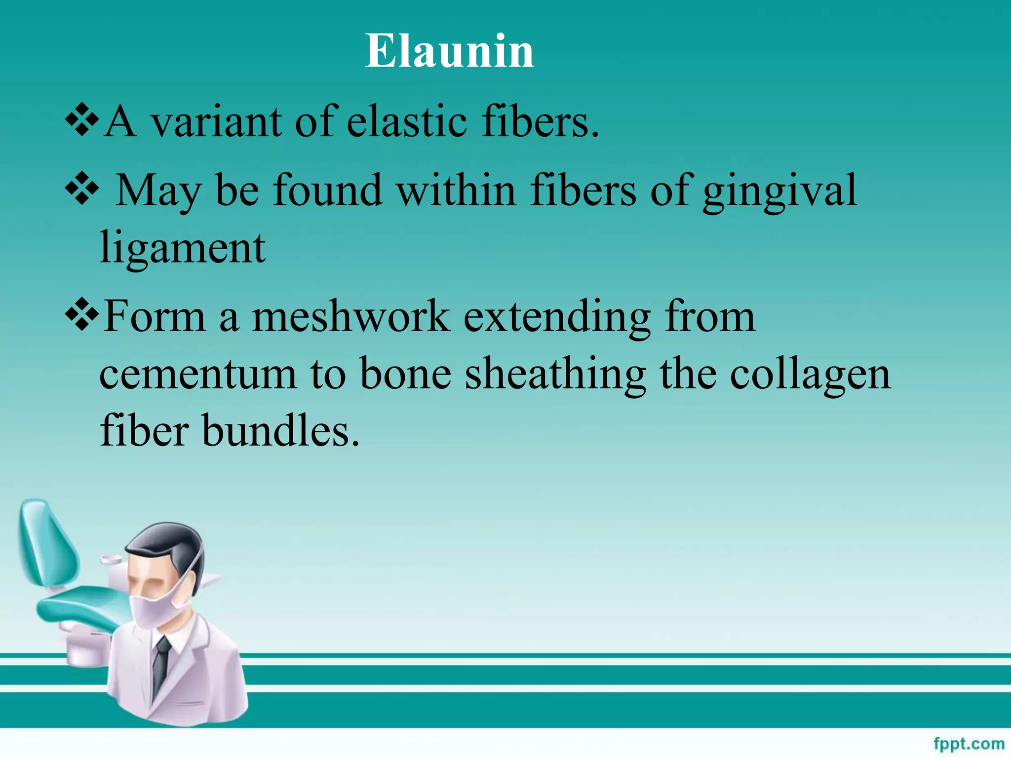 Periodontal ligament : accessory fibers | PPTX