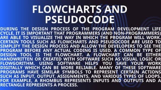 Program Development life Cycle Ppt first year | PPTX