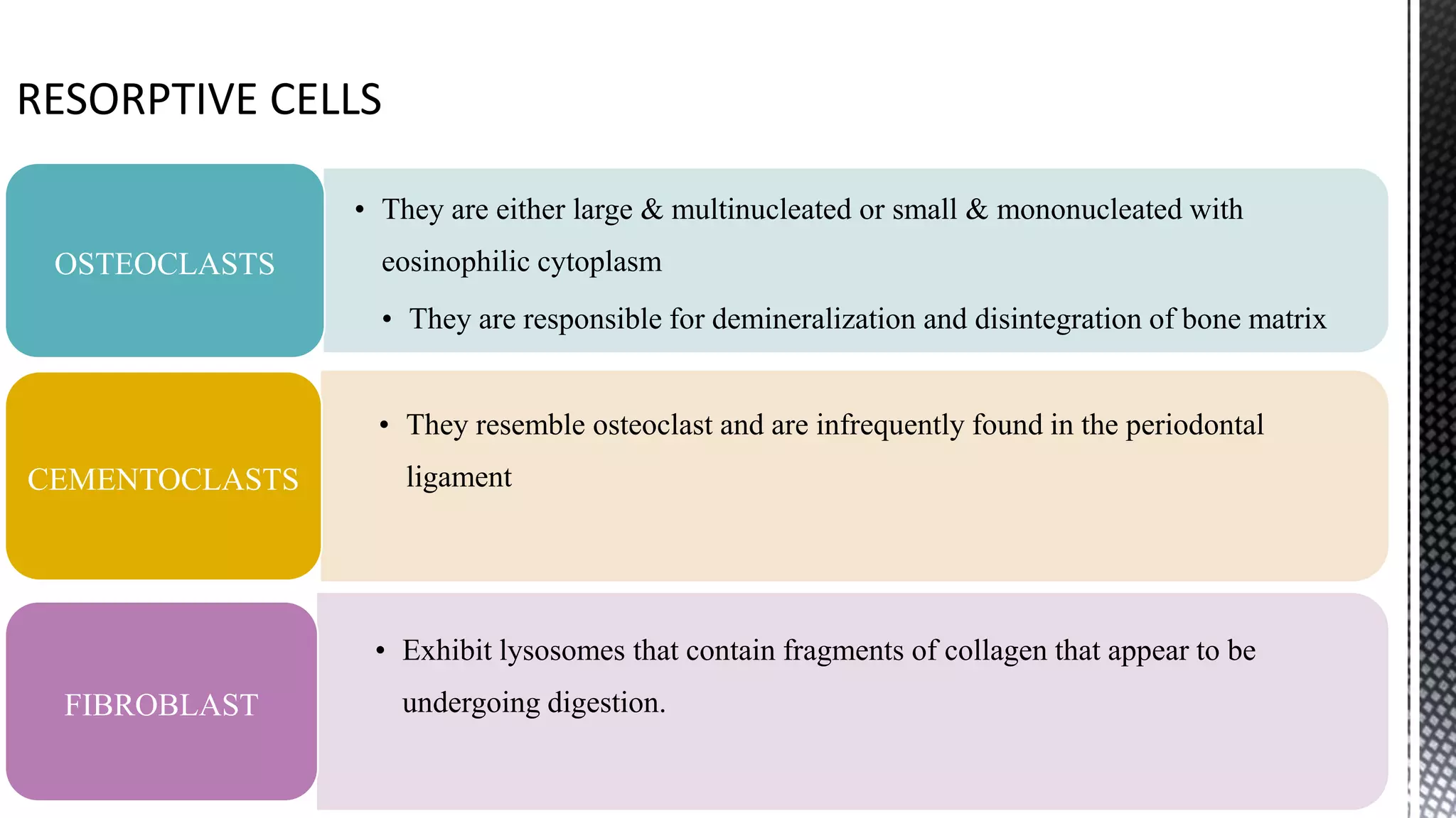 Ultra Structure And Function Of Pdl Pptx