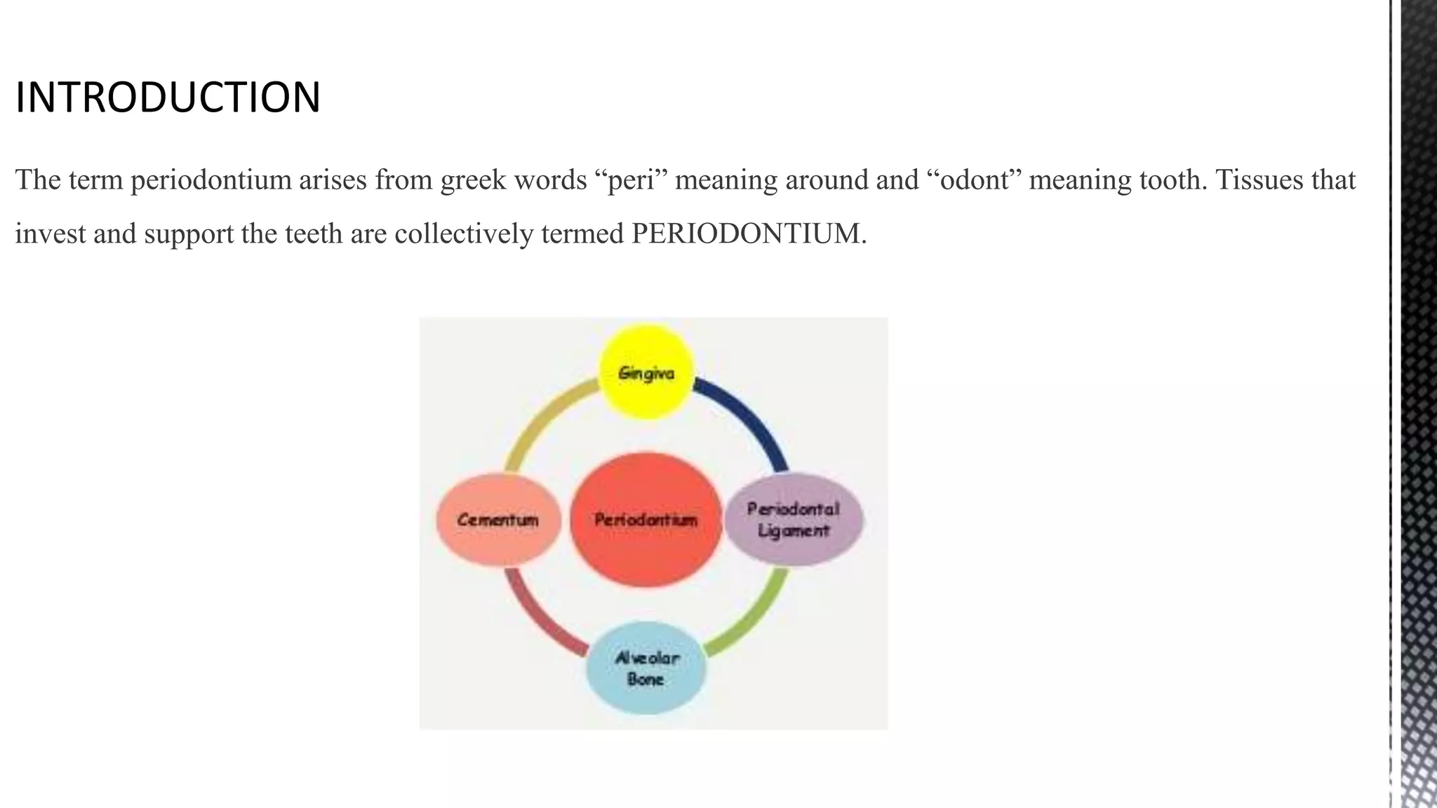 Ultra Structure And Function Of Pdl Pptx