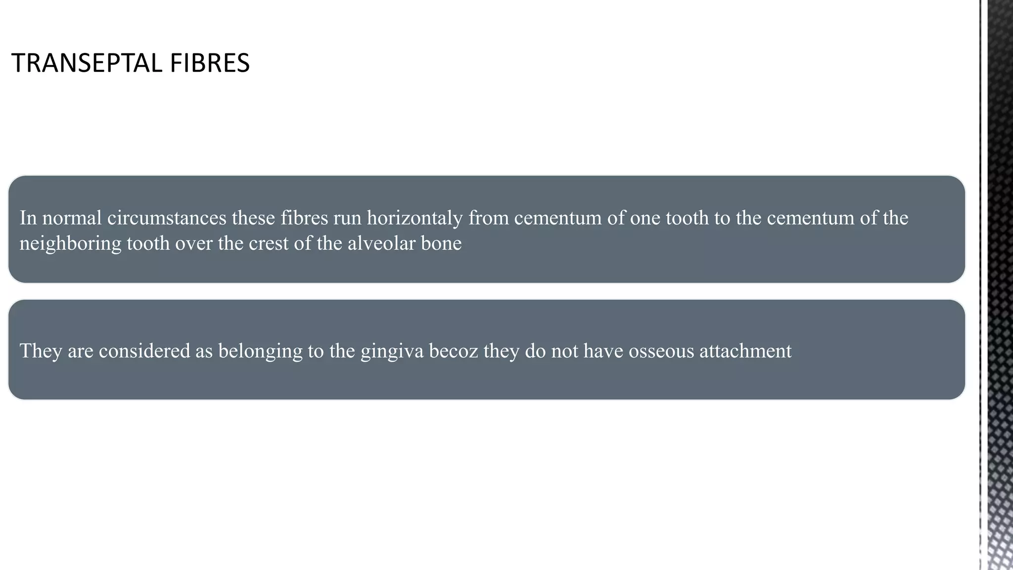 Ultra Structure And Function Of Pdl Pptx