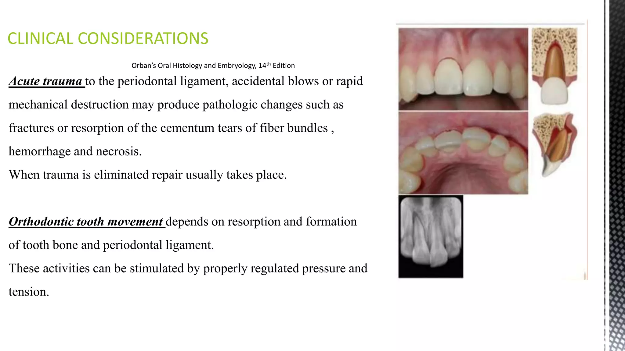Ultra Structure And Function Of Pdl Pptx