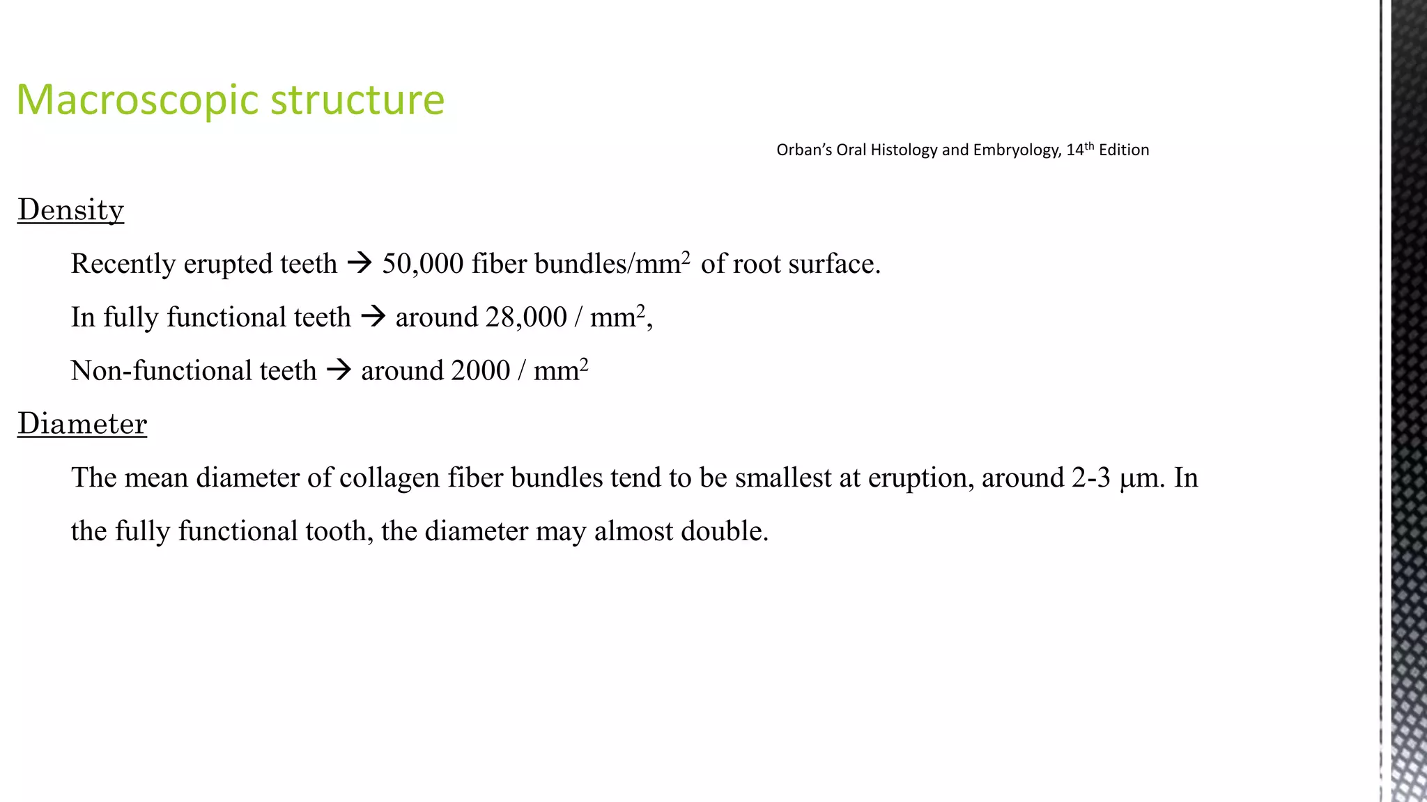 Ultra Structure And Function Of Pdl Pptx