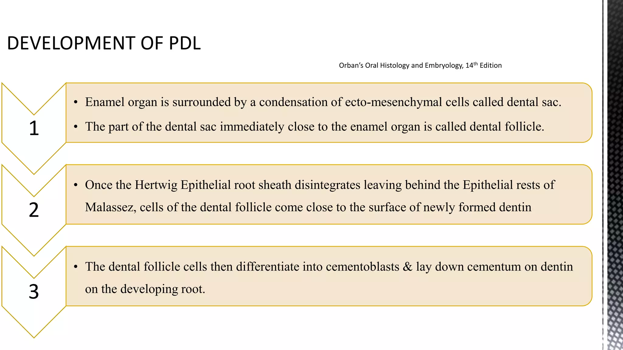 Ultra structure & function of PDL | PPTX