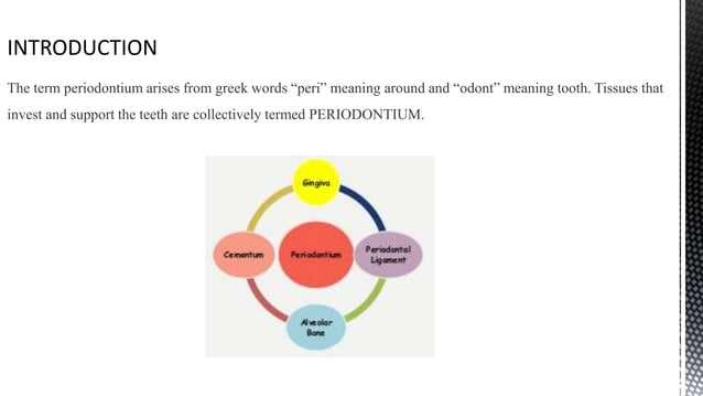 Ultra structure & function of PDL | PPTX | Dental Health | Diseases and ...