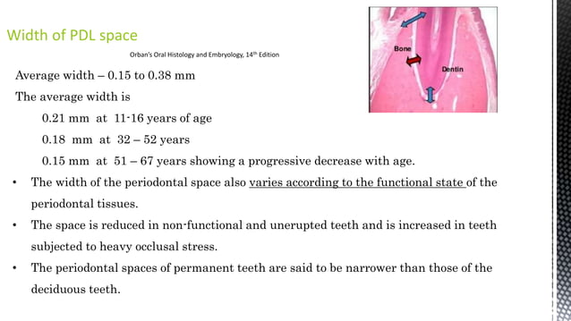 Ultra structure & function of PDL | PPTX | Dental Health | Diseases and ...