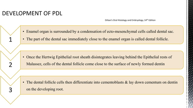 Ultra structure & function of PDL | PPTX | Dental Health | Diseases and ...