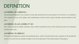 PERIODONTAL LIGAMENT - Development, Principal Fibres, Functions, Blood ...