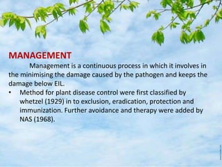 AVOIDANCE - A PRINCIPLE OF IDM | PPTX