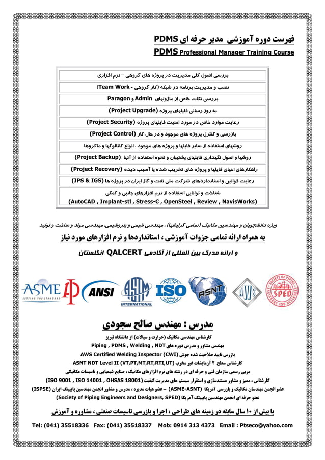 PDMS Professional | PDF | Business and Finance