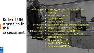 Post Disaster Need Assessment (PDNA), concepts and experience | PPTX