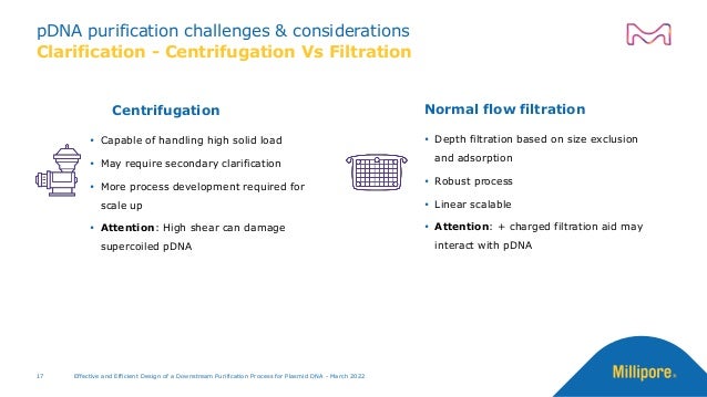 Webinar: Effective and Efficient Design of a Downstream Purification ...