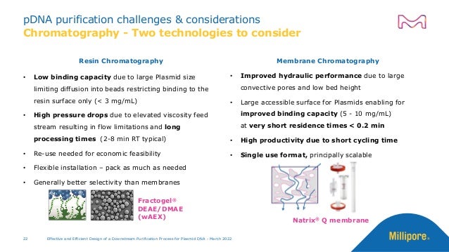 Webinar: Effective and Efficient Design of a Downstream Purification ...