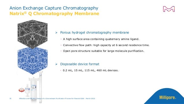 Webinar: Effective and Efficient Design of a Downstream Purification ...