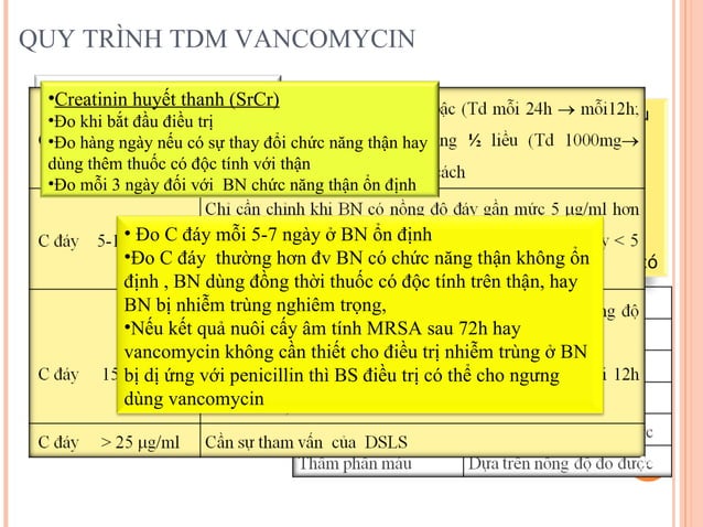 áP dụng bước đầu quy trình tdm gentamicin và vancomycin | PPT