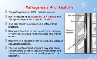 PDPrrrrrrrrrrrrrrrrrrrrrrrrrrrrmeH.pptx.pdf