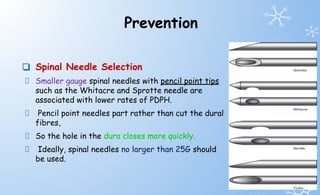 PDPrrrrrrrrrrrrrrrrrrrrrrrrrrrrmeH.pptx.pdf