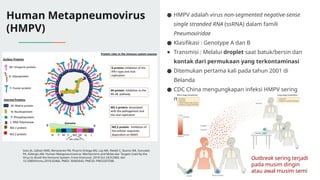 PDPI web _H1N1 dan HMPV virus respiratorypptx | PPTX