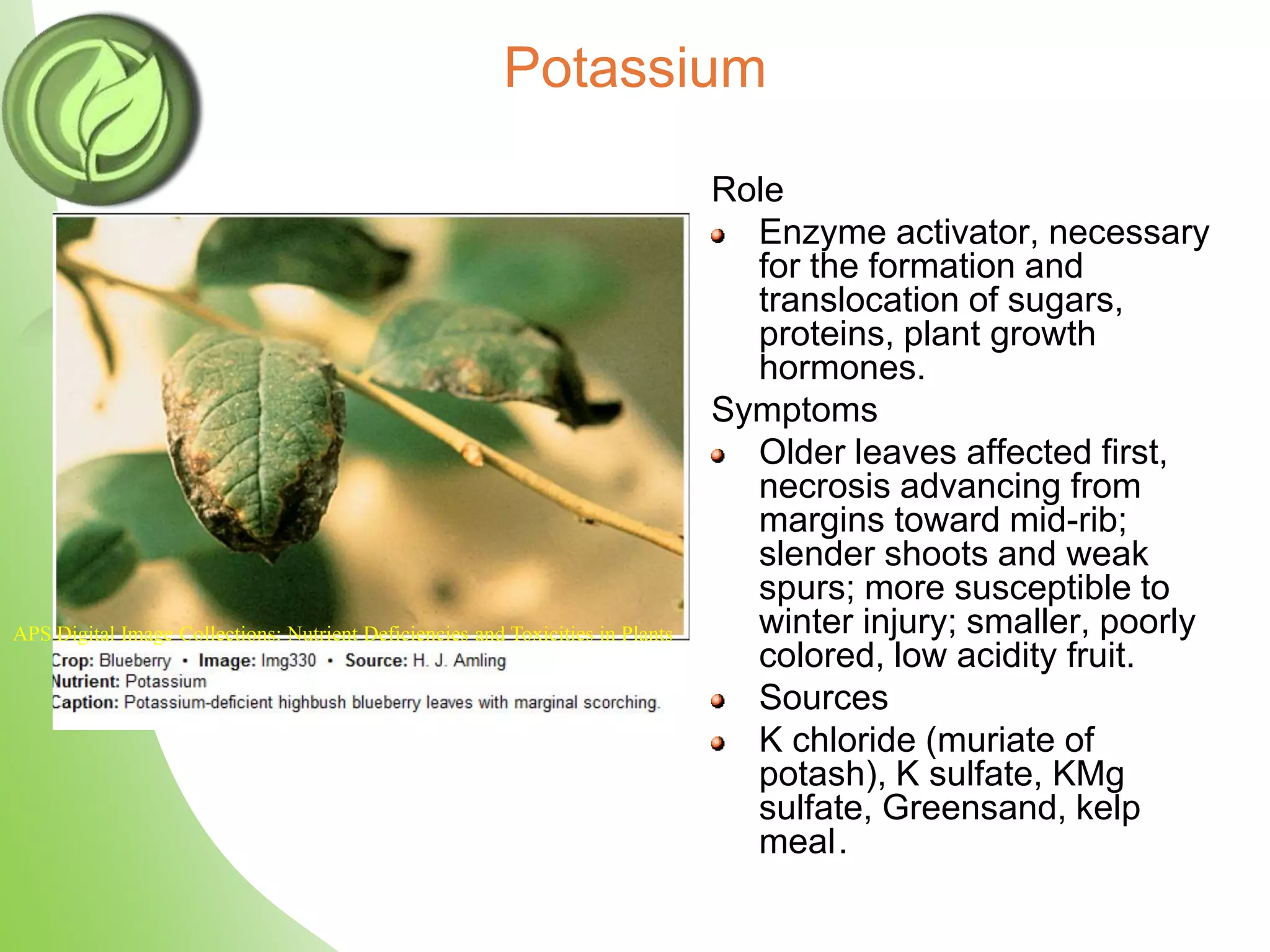 Plant Nutrient Imbalance Symptoms | PPTX