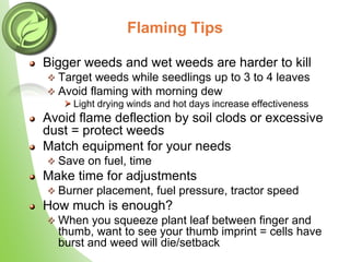 Organic weed management | PPTX