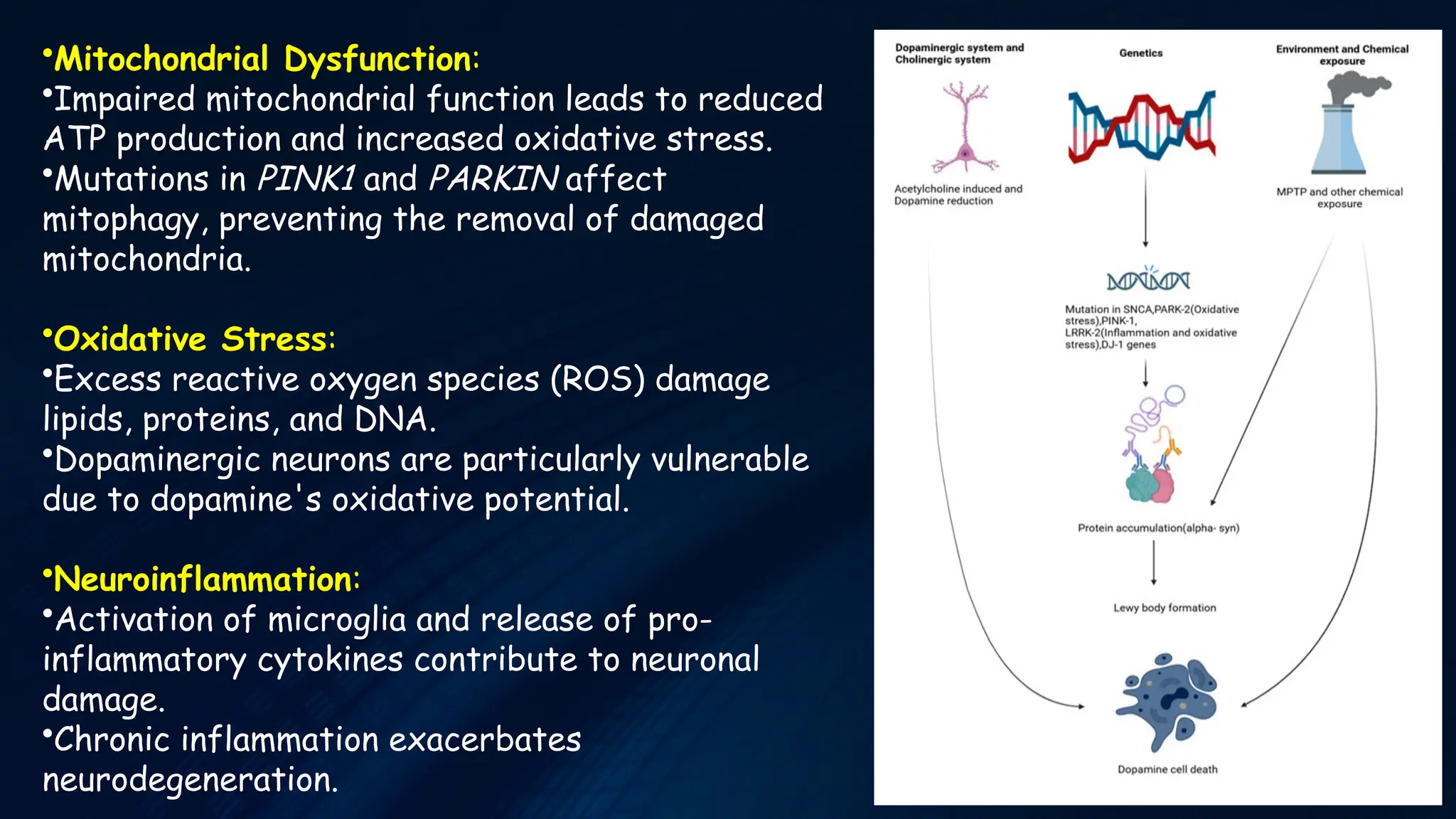 Overview of Parkinson’s disease :- Etiology, types, pathogenesis,signs ...