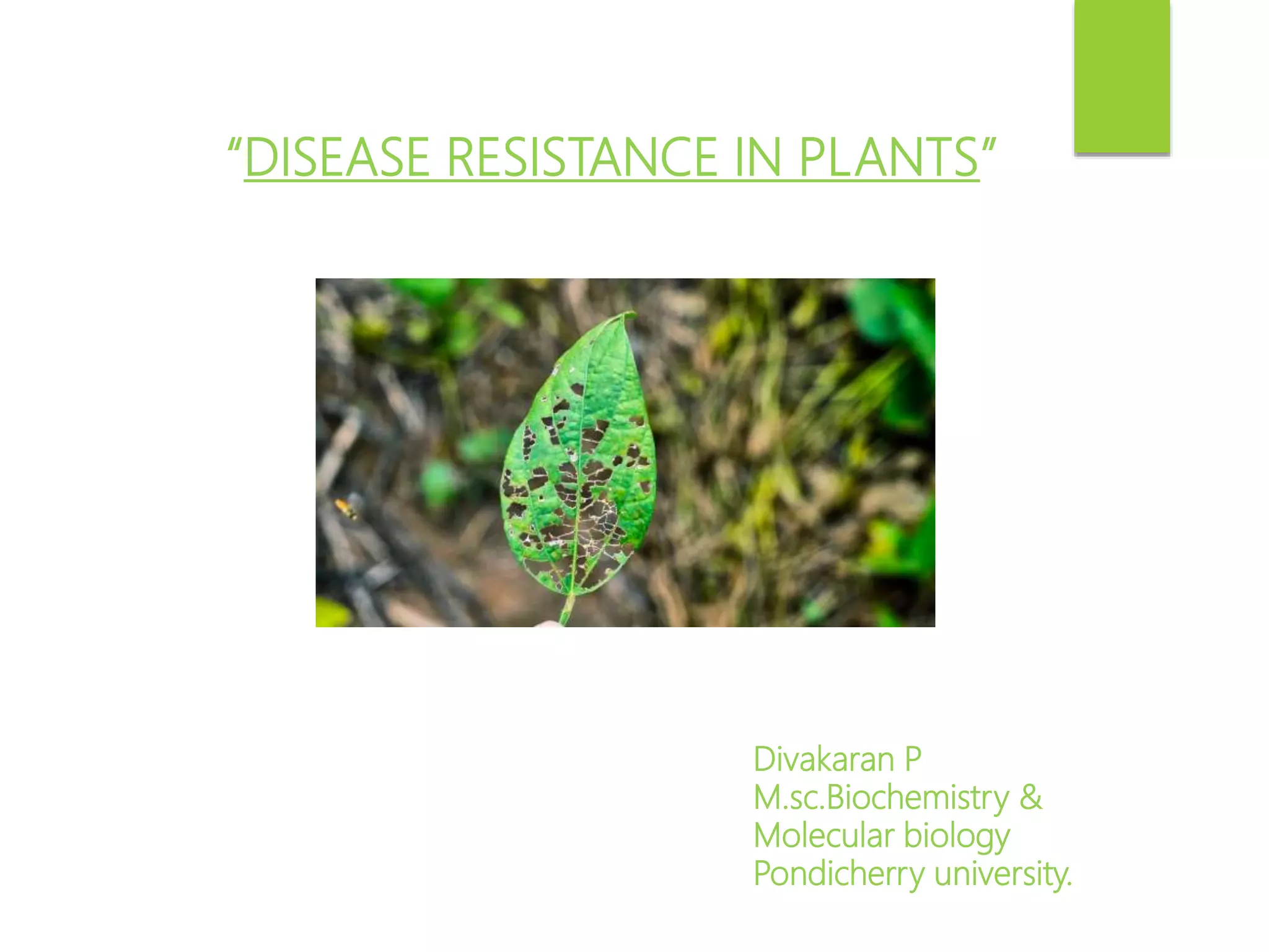 Disease resistance in plants | PPTX