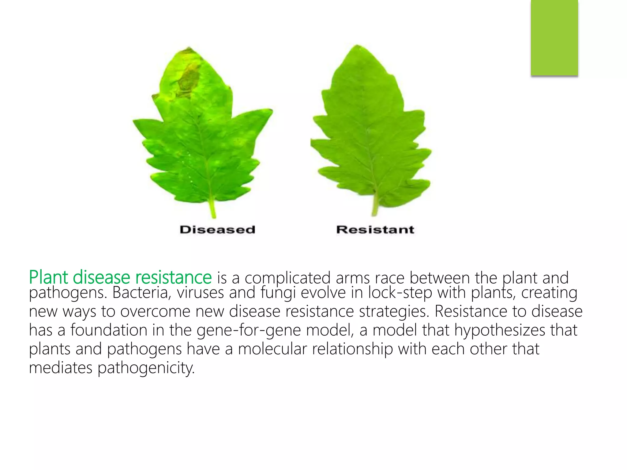 Disease resistance in plants | PPTX