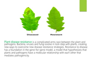 Disease resistance in plants | PPT
