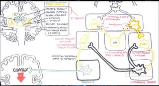 Parkinson's Disease | PPTX