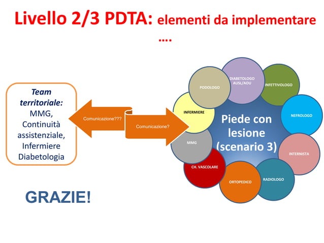 Pdta piede diabetico provincia di Modena | PDF