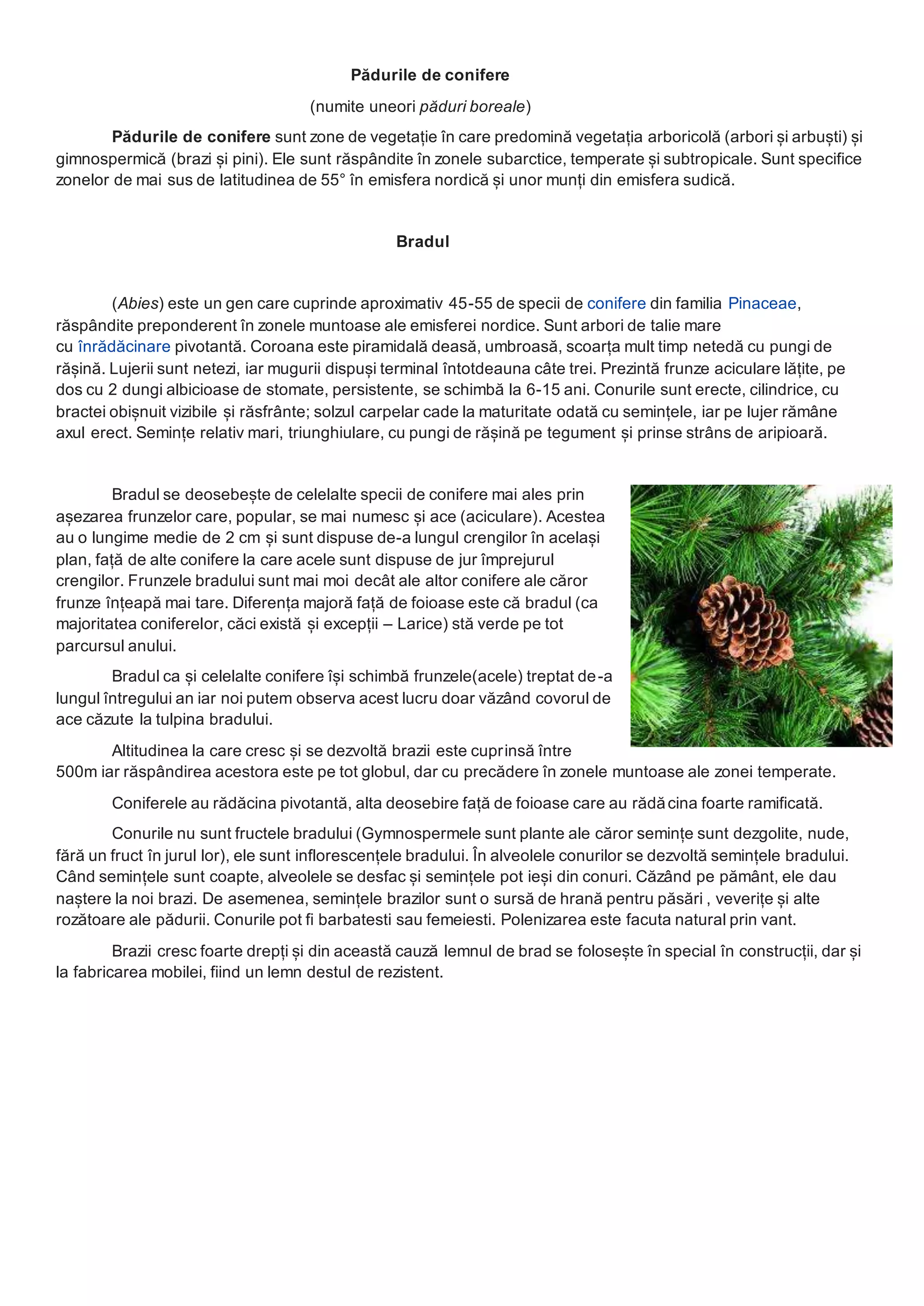 Pădurile de conifere | DOCX