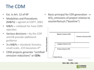 CCS in the clean development mechanism (CDM) | PDF