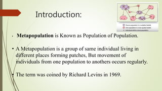 Metapopulation | PPTX