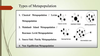 Metapopulation | PPTX