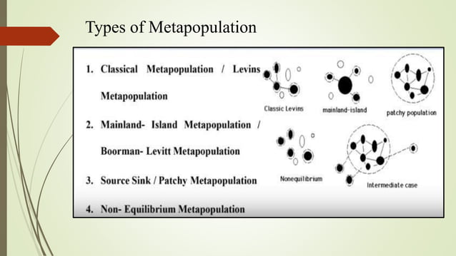 Metapopulation | PPTX | Geography | Science