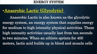 Energy systems _Physical Education 11.pptx