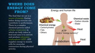 Energy systems _Physical Education 11.pptx